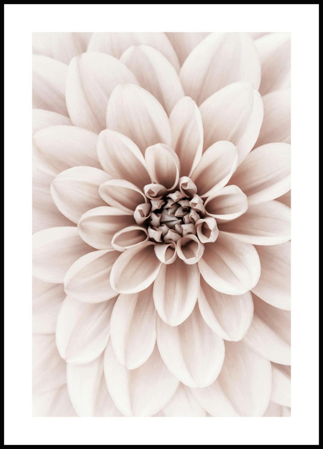 Pink Pastel Flowers No2 Poster | Pink Flower Prints Delicate Pastel ...