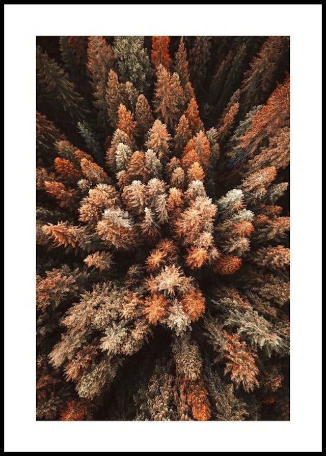 Fall Fika Poster | Autumn Leaves Decor | Poster Store Canada