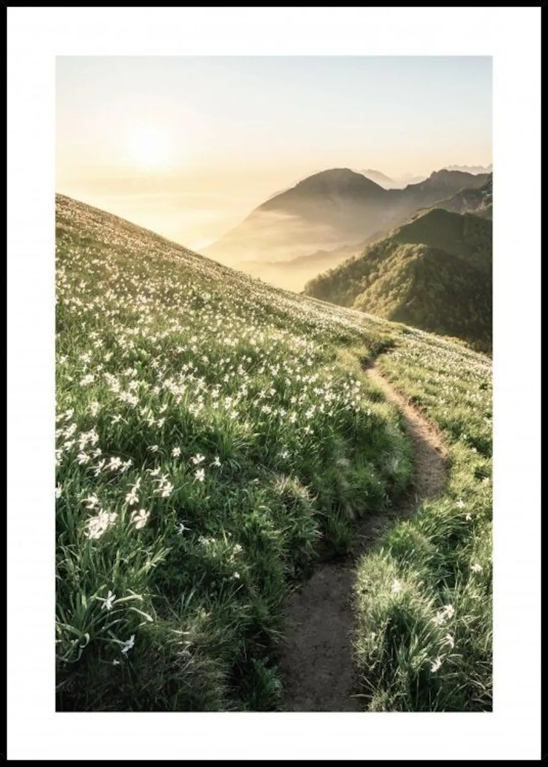 Summer Gate Poster | Summer Gate Horizontal Poster | Poster Store USA