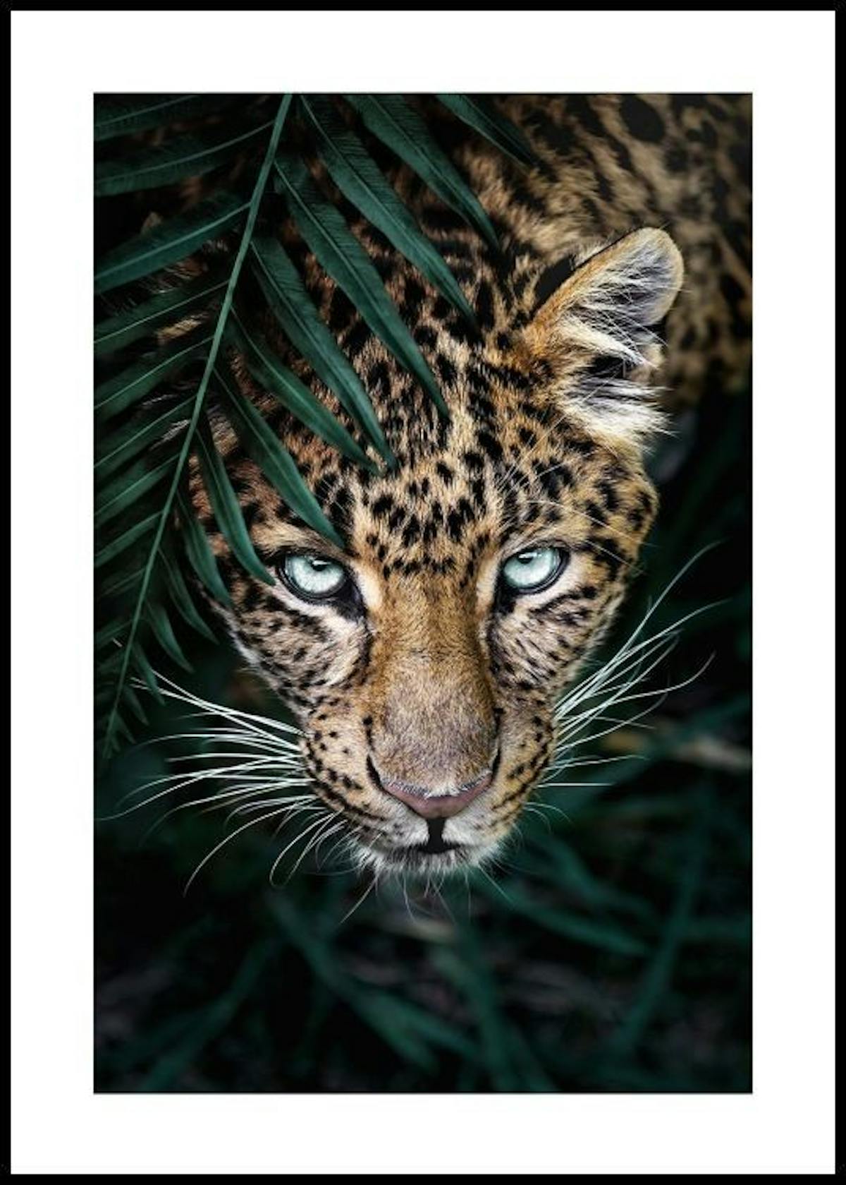 Tierposter - Poster mit wilden Tieren - Posterstore.de