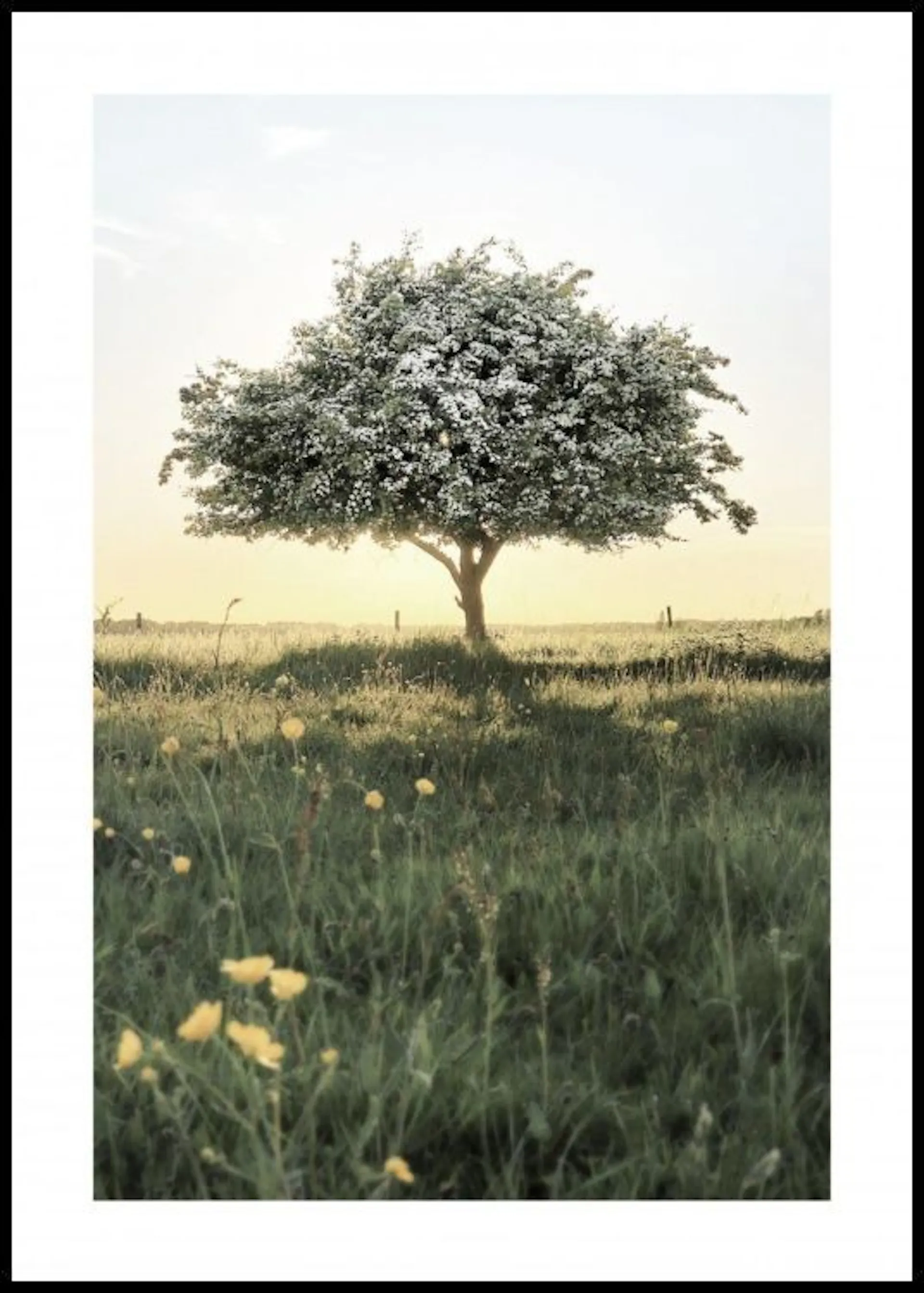 Summer Gate Poster | Summer Gate Horizontal Poster | Poster Store USA