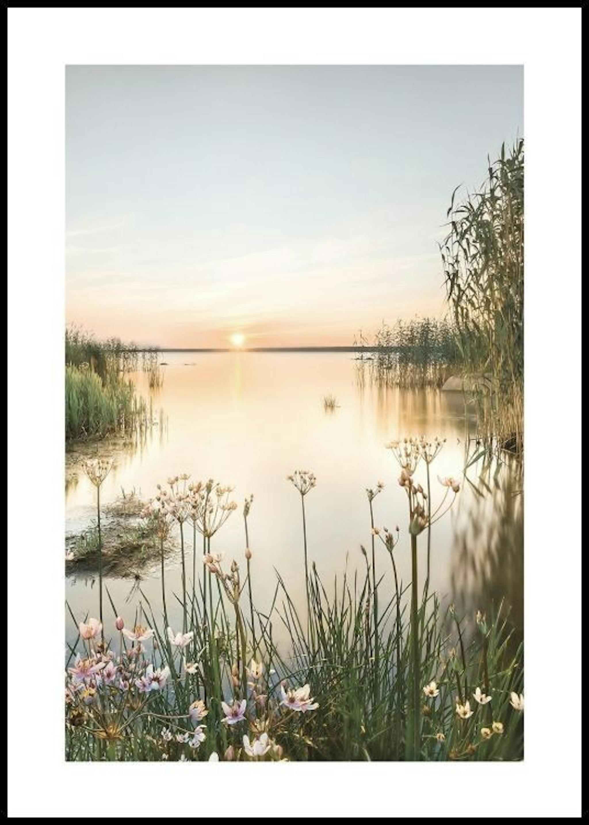 Summer Gate Poster | Summer Gate Horizontal Poster | Poster Store USA