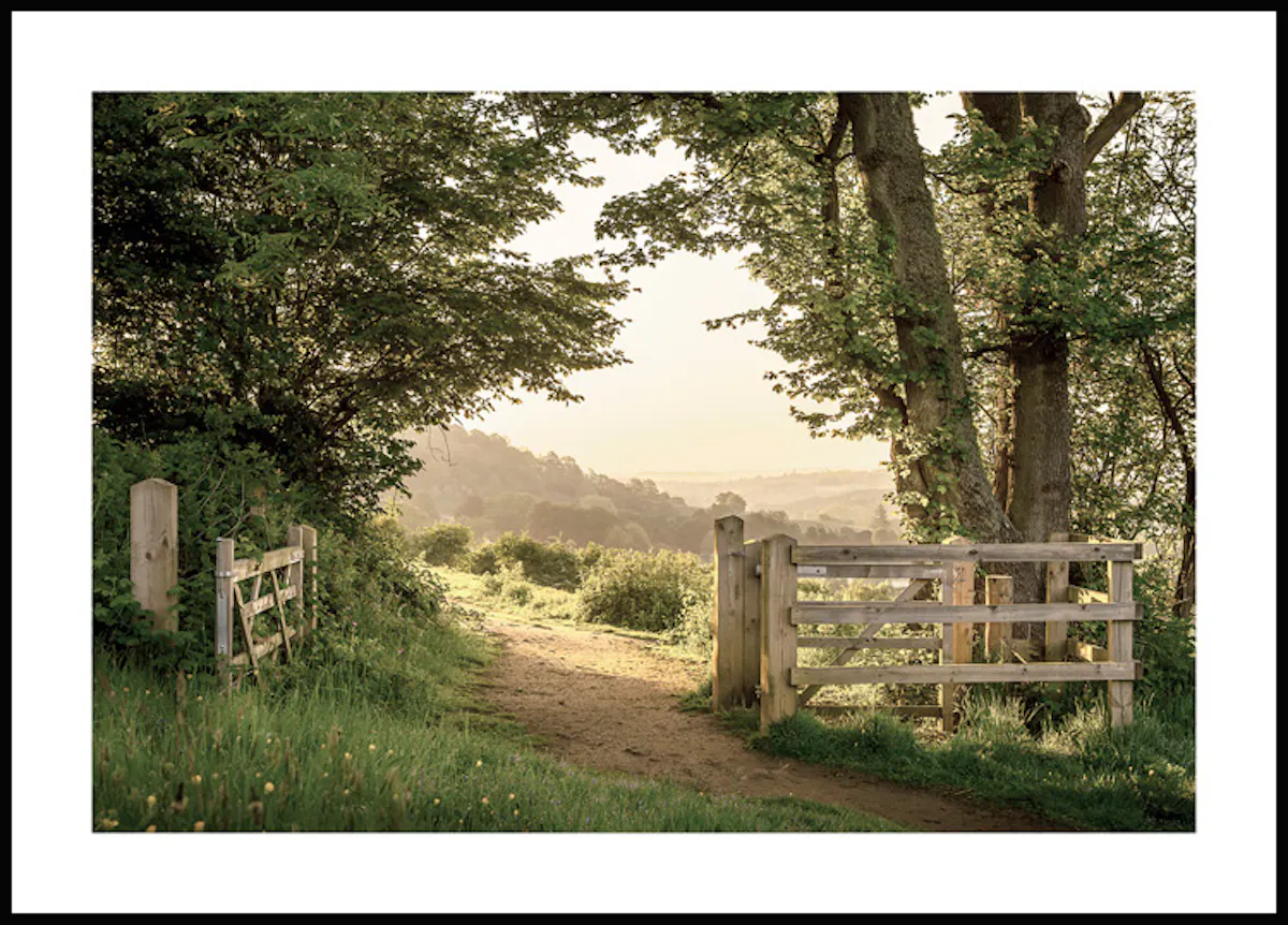Summer Dawn Poster - Summer prints - Nature posters