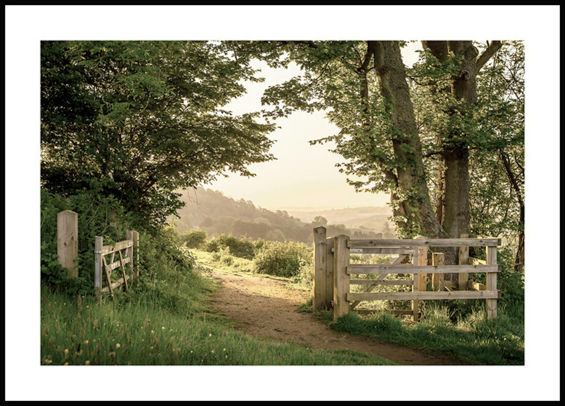 Summer Dawn Poster - Summer prints - Nature posters