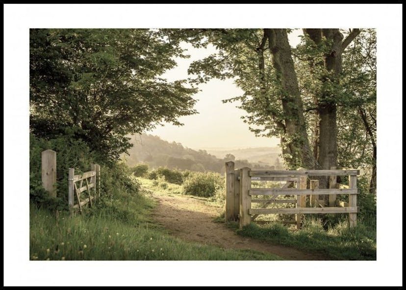 Summer Sunrise Poster | Sunrise Poster Serene Misty Path | Poster Store USA