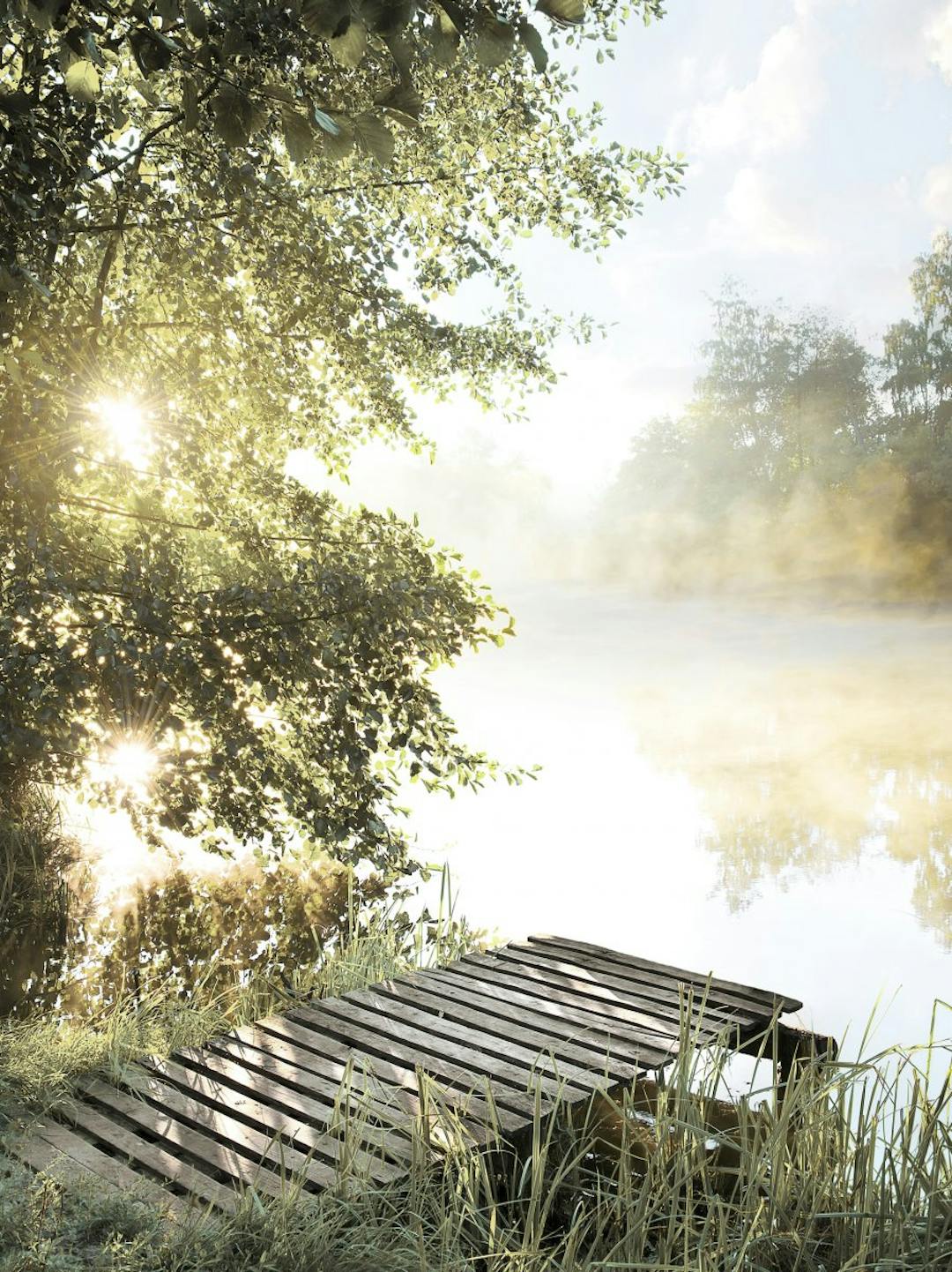 Nature gallery wall with calm elements of botanical prints and ...