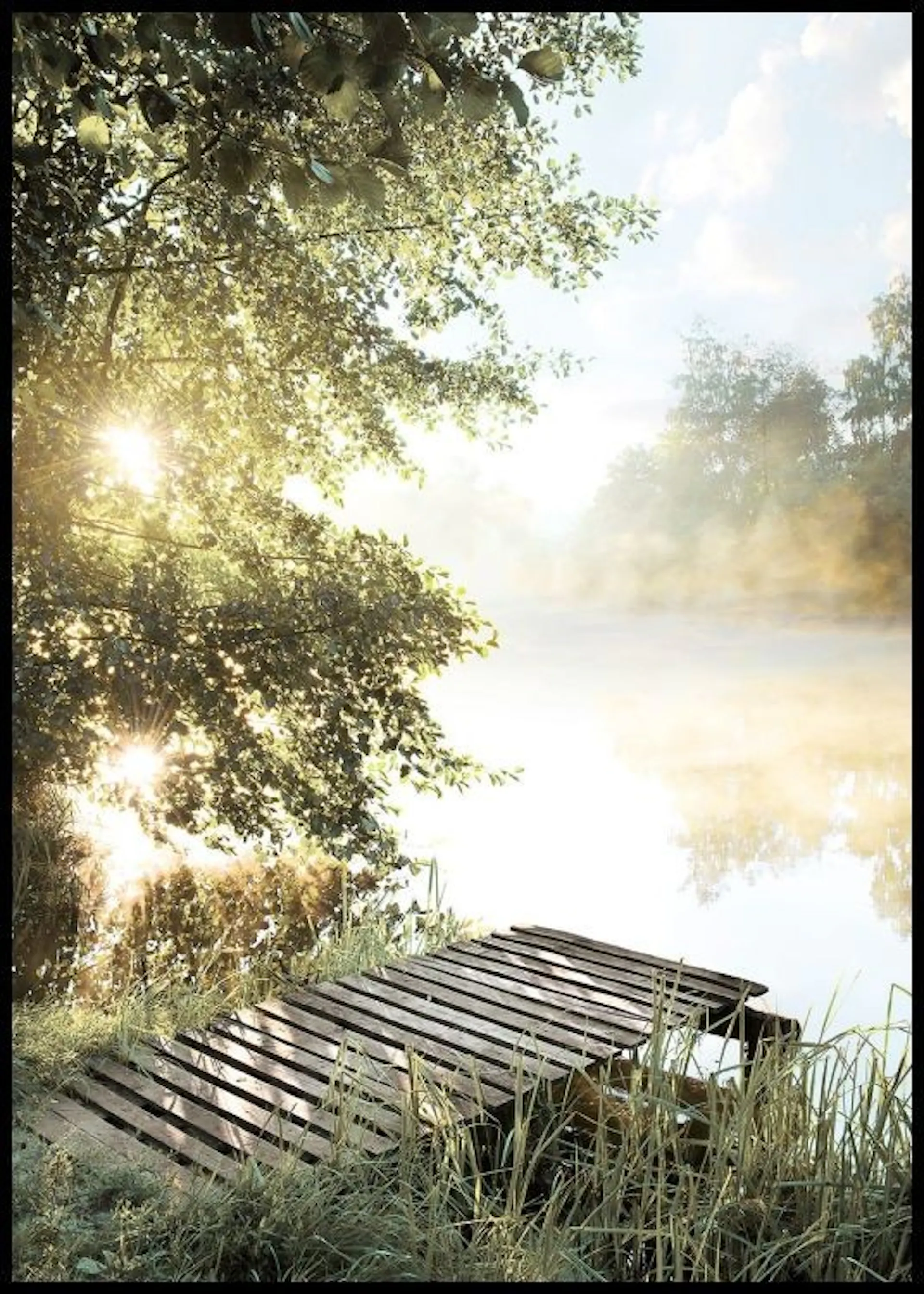 Nature Posters Online - Shop Botanical Prints