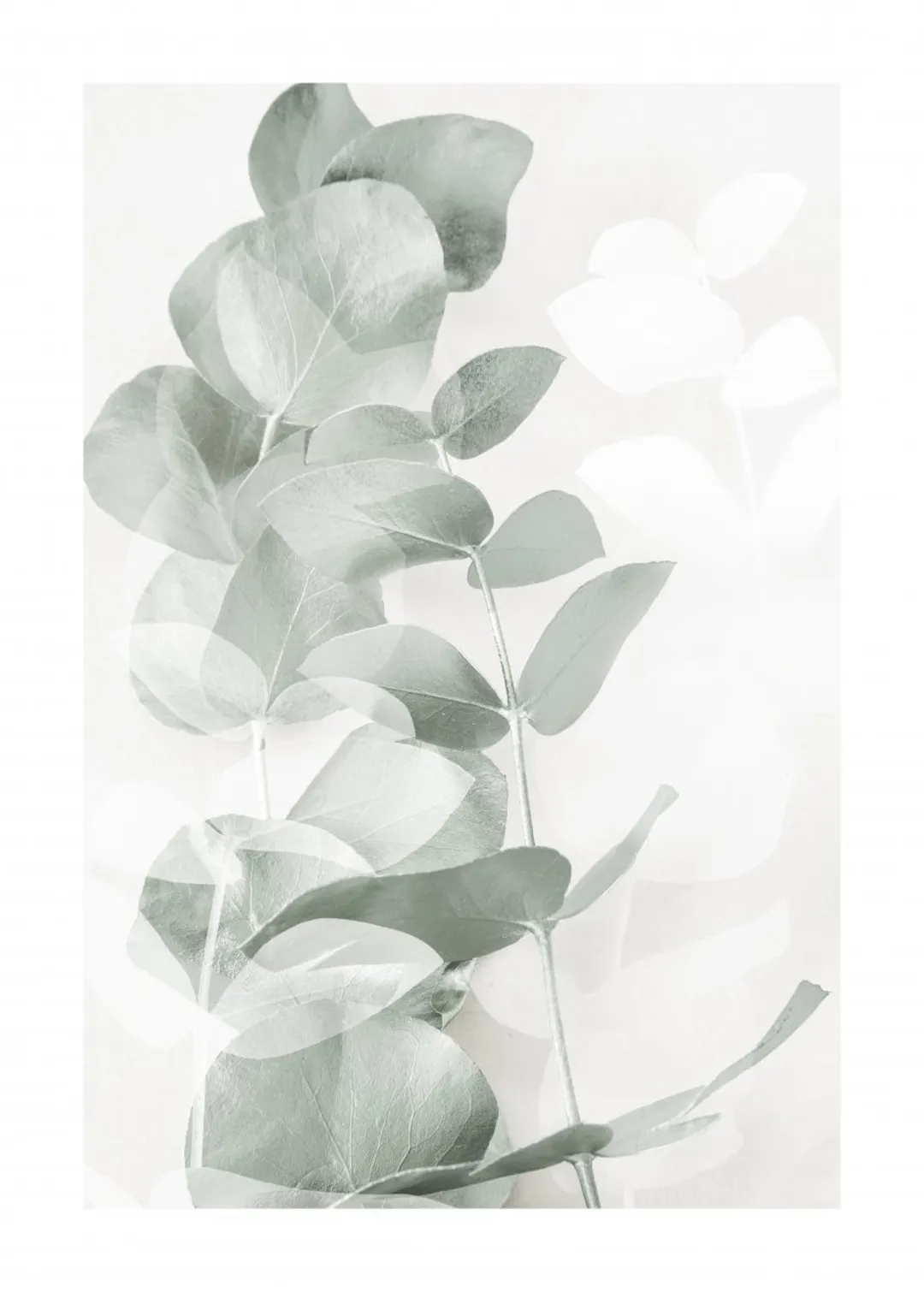 Mur de décoration murale botanique avec imprimés naturels beiges et ...