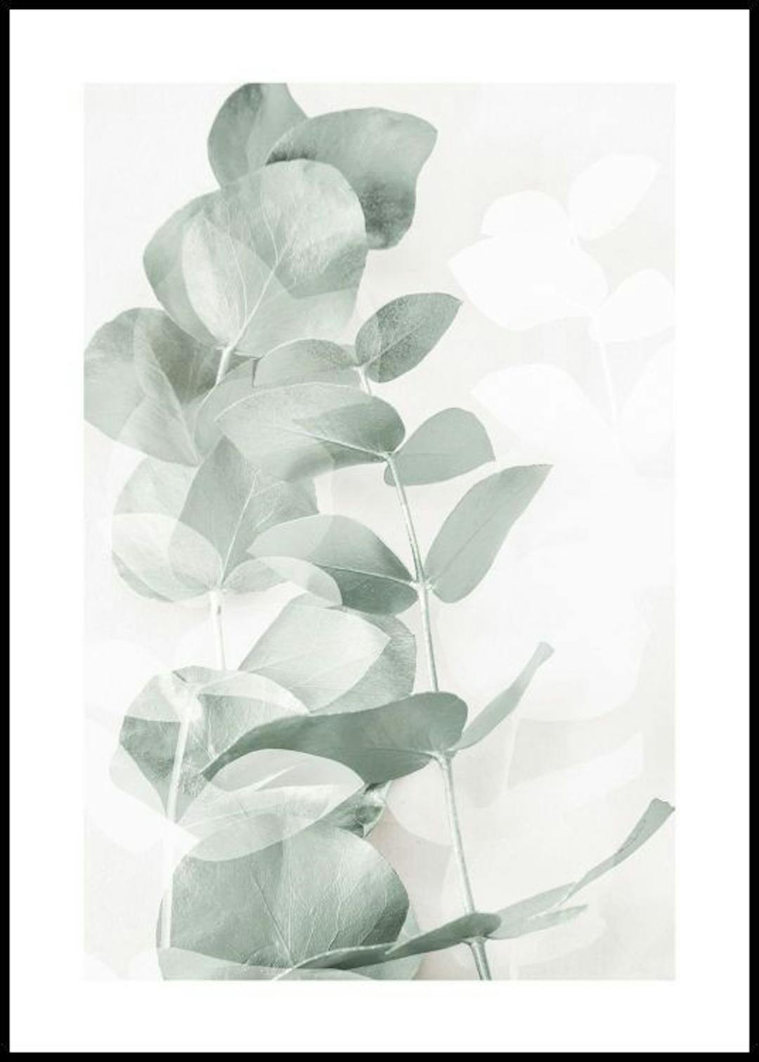 Soft Green Poster Pack | Calming Botanical Wall Art | Poster Store USA