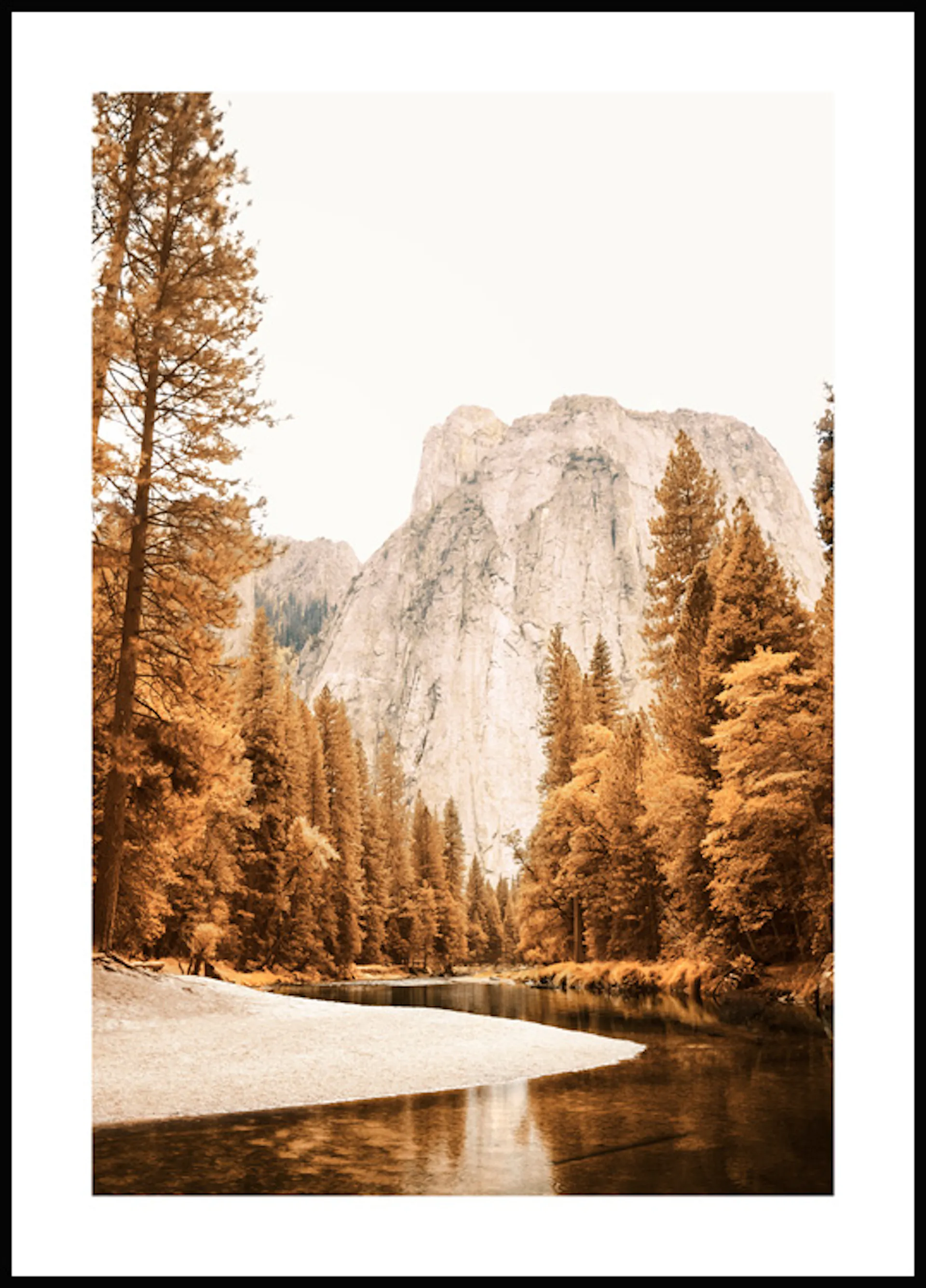 Autumn Forest Poster - Nature posters - Photography