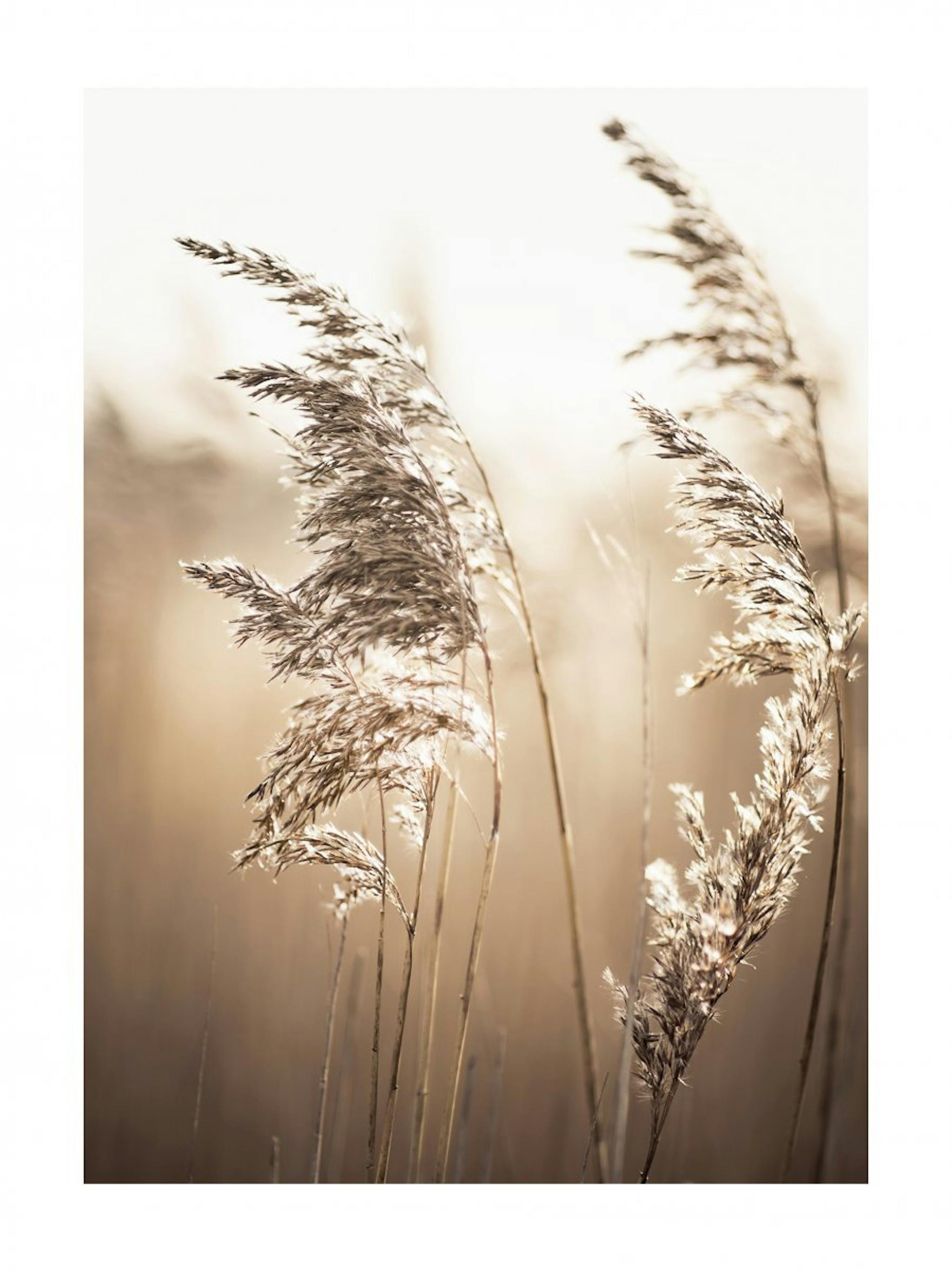 Monochrome gallery wall with white wooden frames combined with winter ...