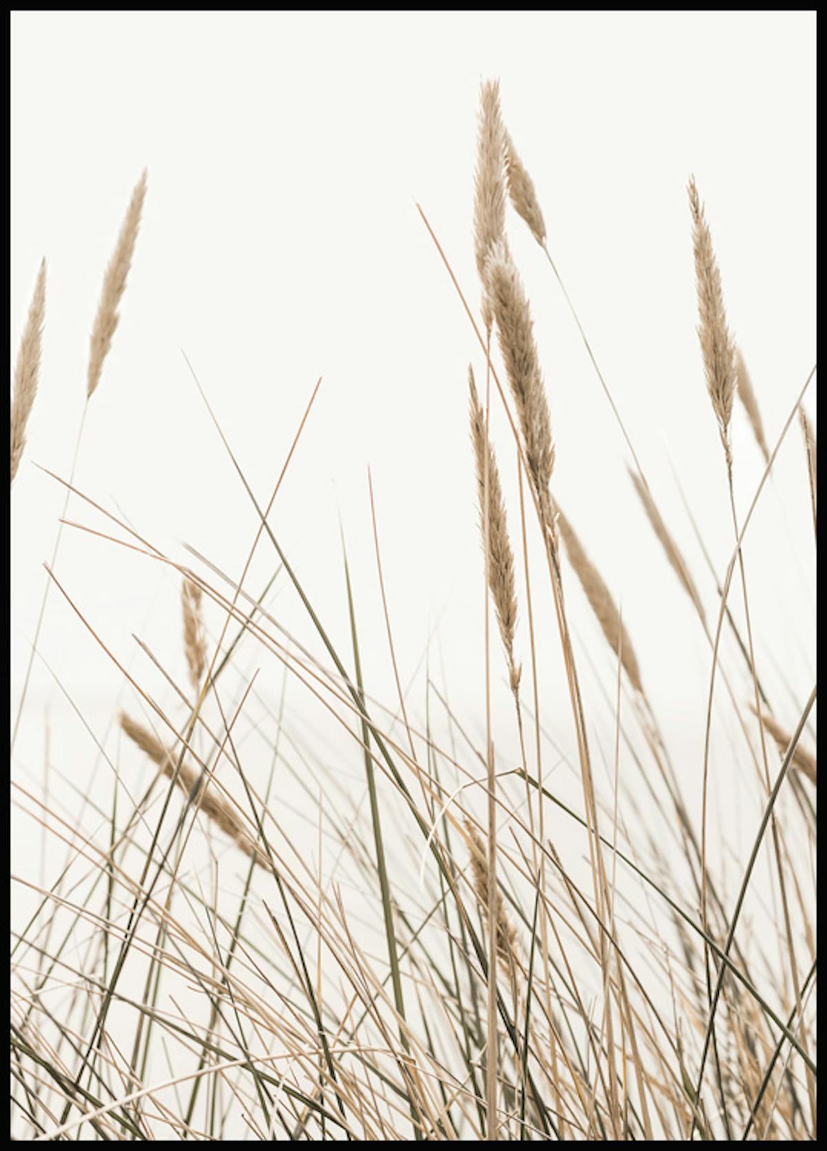 Birds over Reeds Poster - Flying birds print