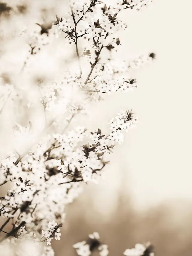Cozy Bedroom Gallerywall Poster | Calming Neutral Tone Wall Art ...