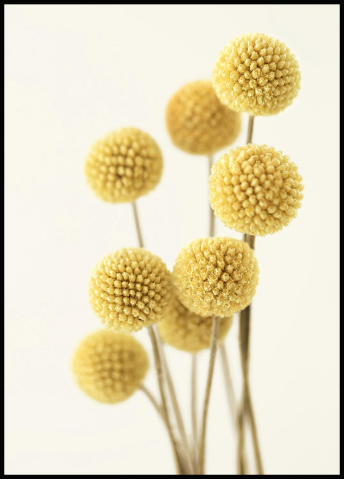 The Papercut Series No3 Poster - Graphic posters