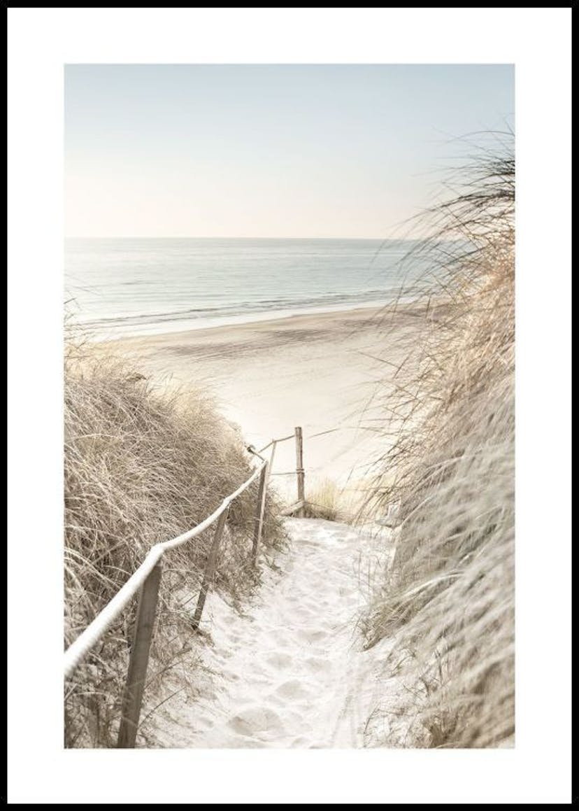 Luonto & Kasvit - Luontoaiheiset Julisteet