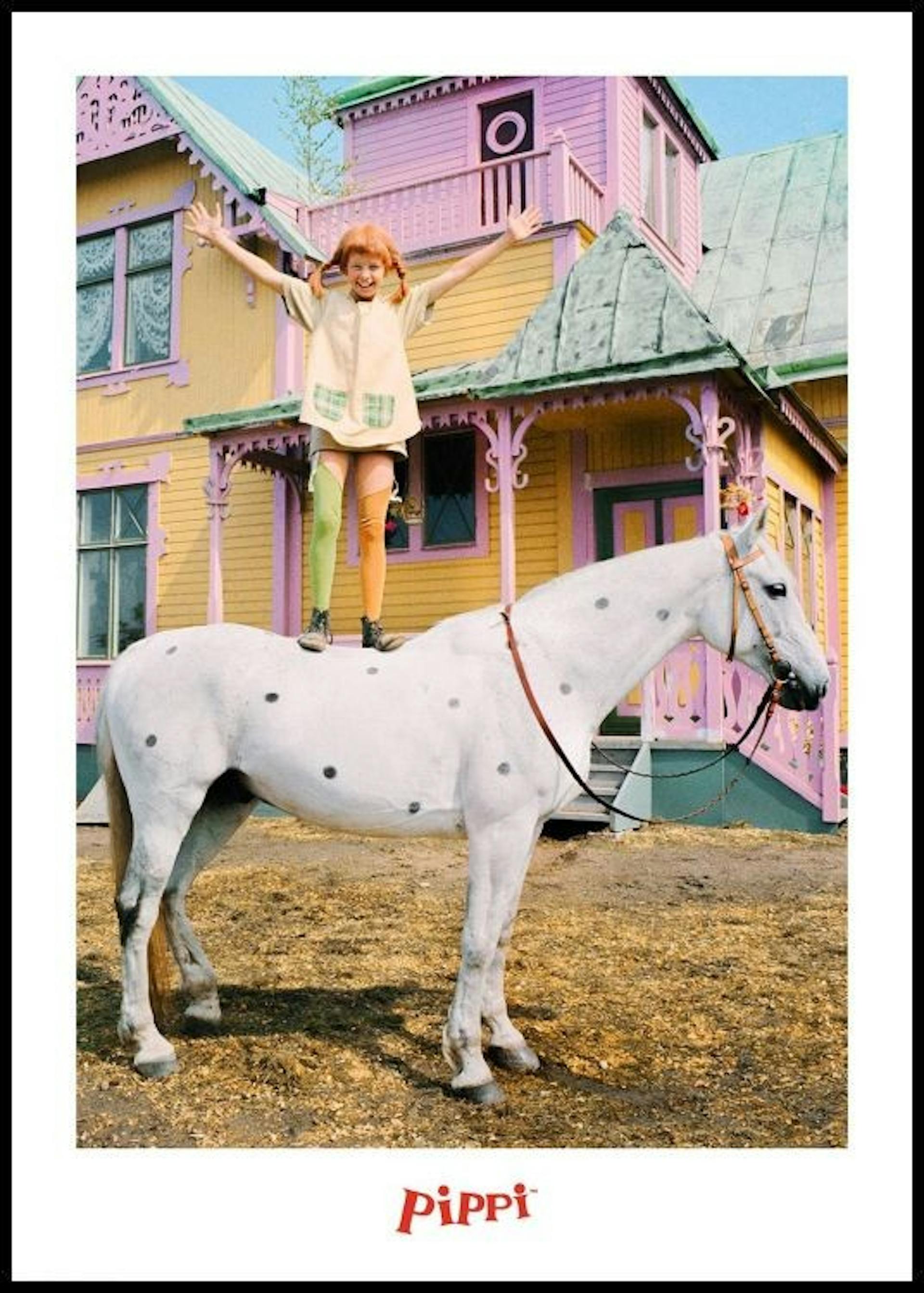 Frida Con Amigos Poster | Frida Kahlo Parrots | Vibrant Wall Art Poster ...