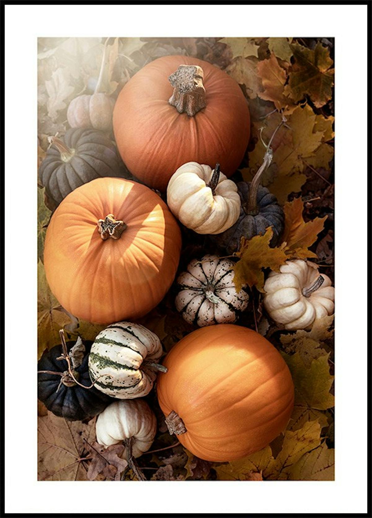 Autumn Plans Poster - Text autumn print