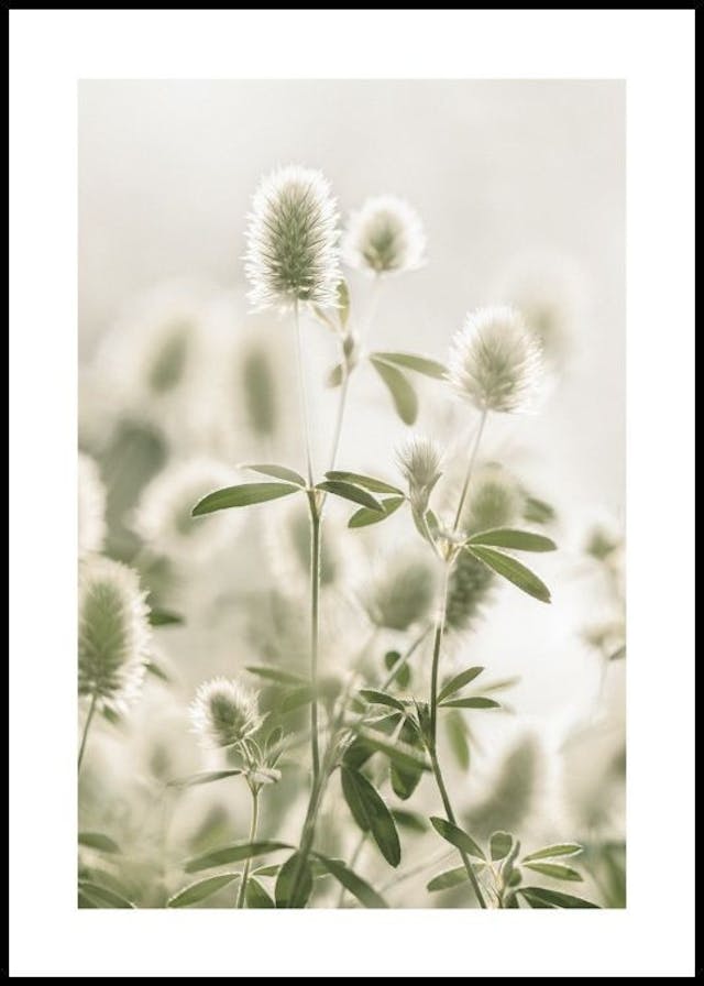 Poster Store: Scandinavian Wall Art - Buy Posters & Frames