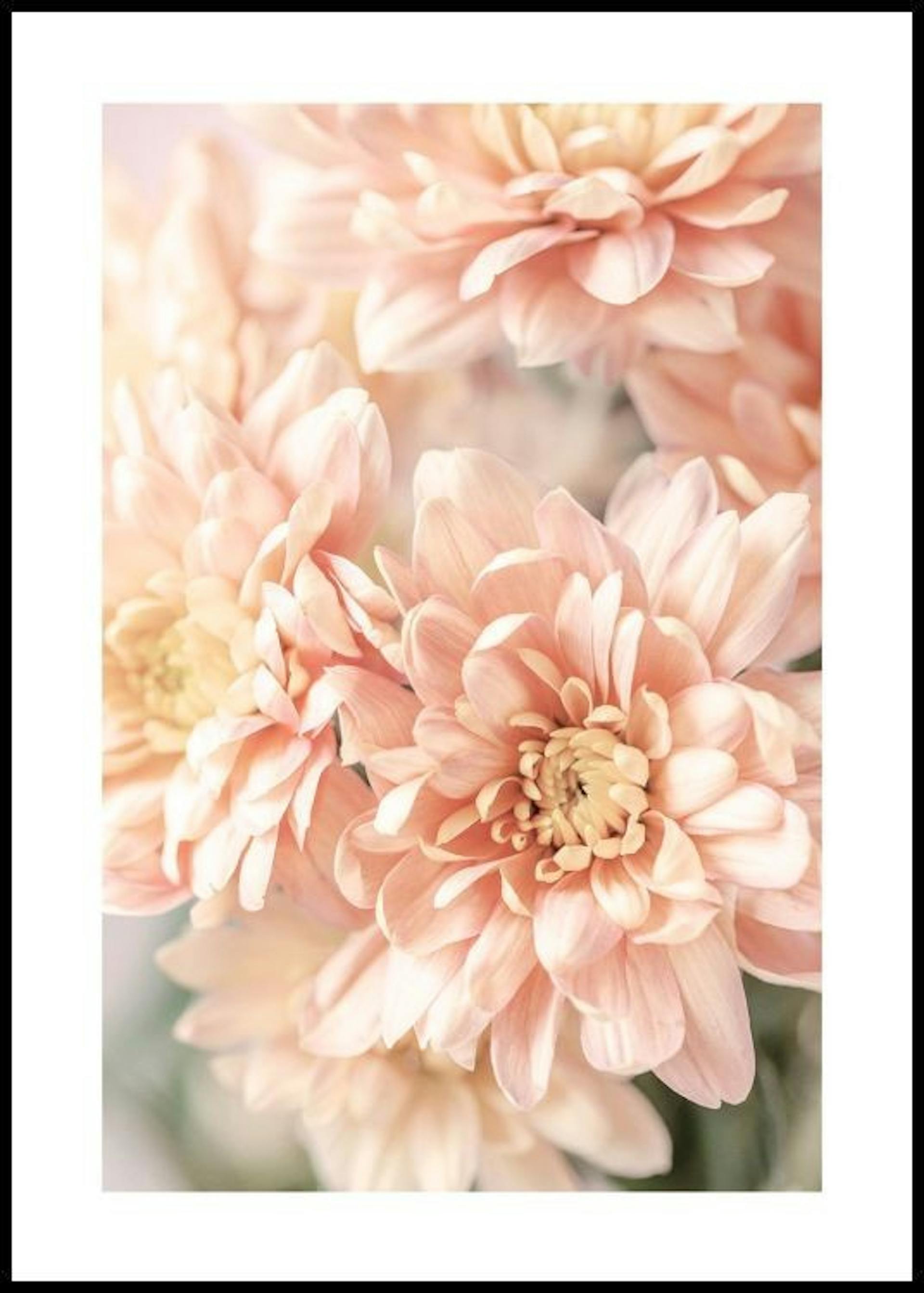 Pink Retro Car Poster | Vintage Car Posters Pink | Poster Store USA