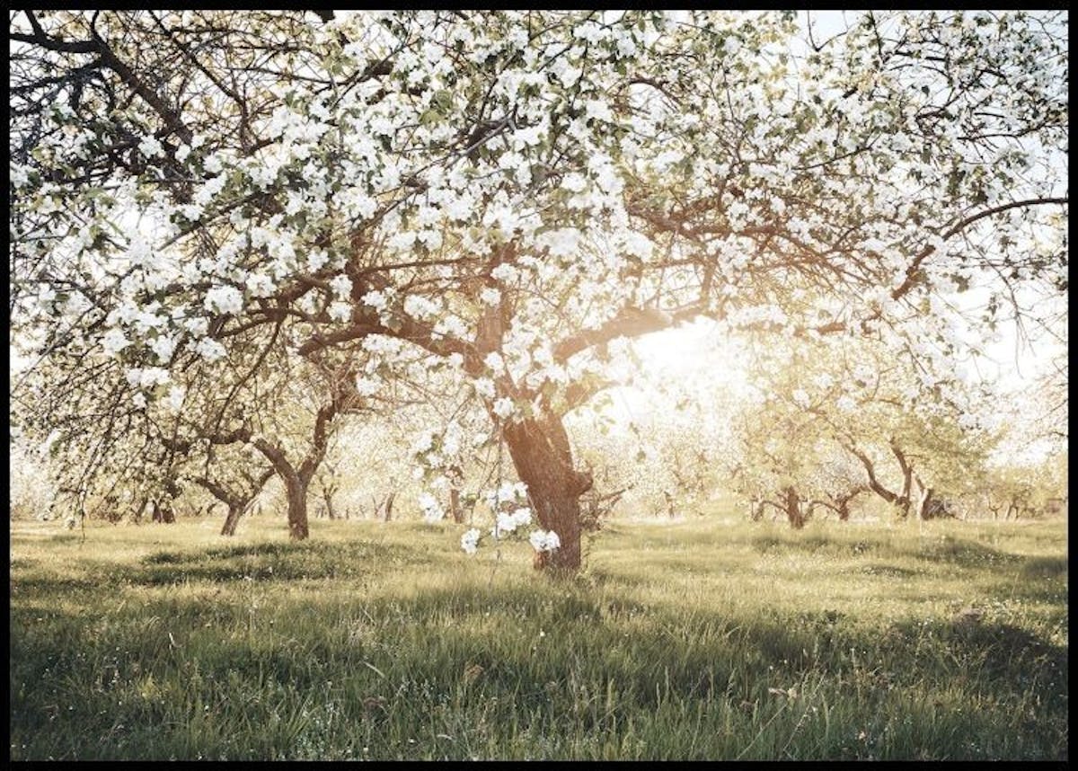 Poster Store: Scandinavian Wall Art - Buy Posters & Frames