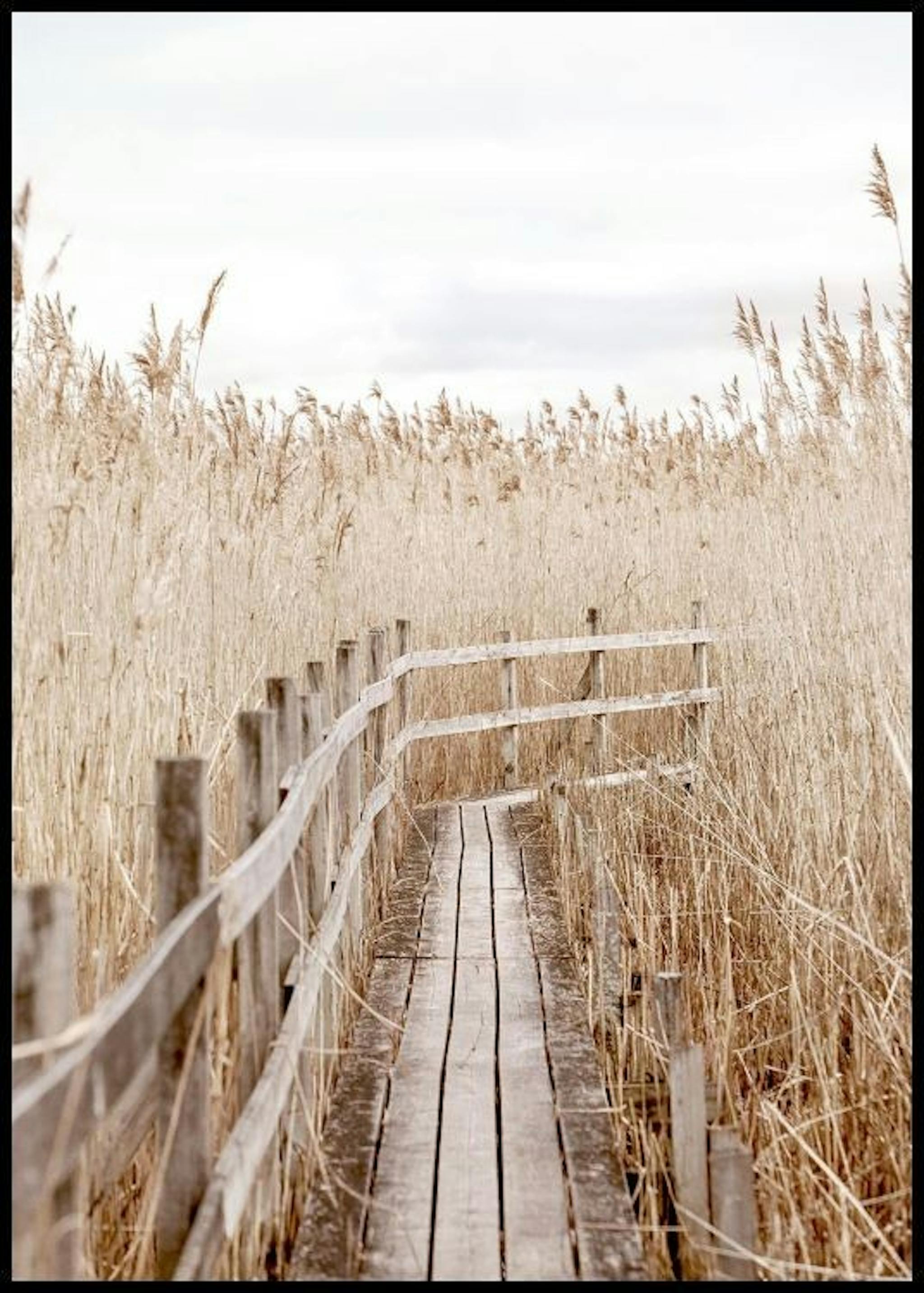 Poster Store: Scandinavian Wall Art - Buy Posters & Frames