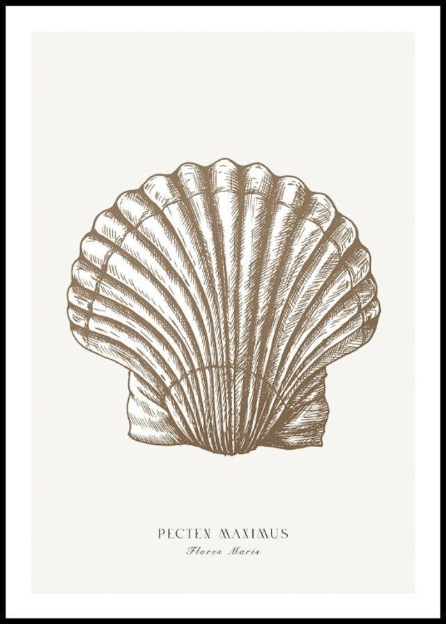 Blue Shells Poster | Blue Poster for Coastal Decor | Poster Store Canada