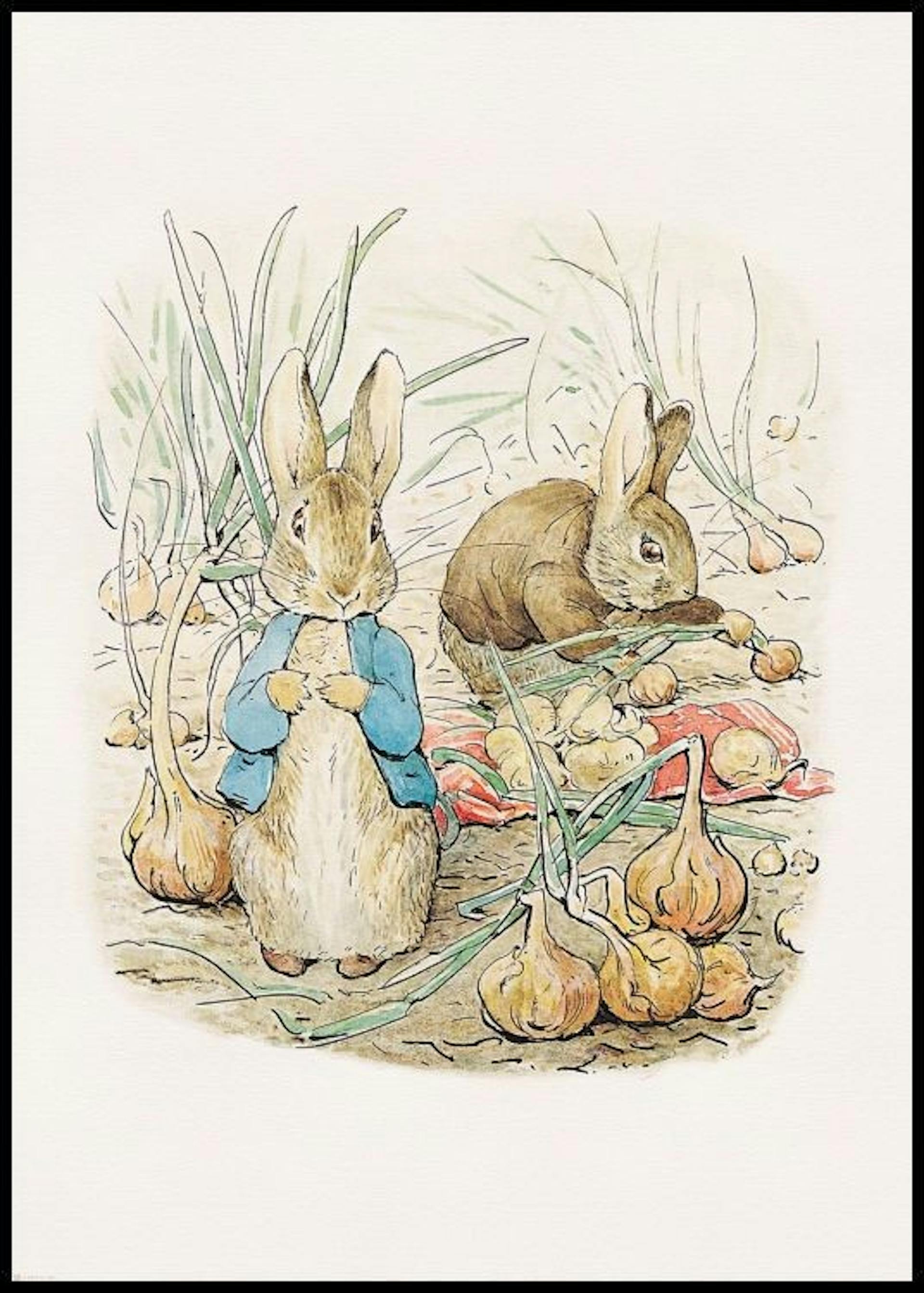 Peter Rabbit Characters Poster | Peter Hase Charaktere | Kinderzimmer ...