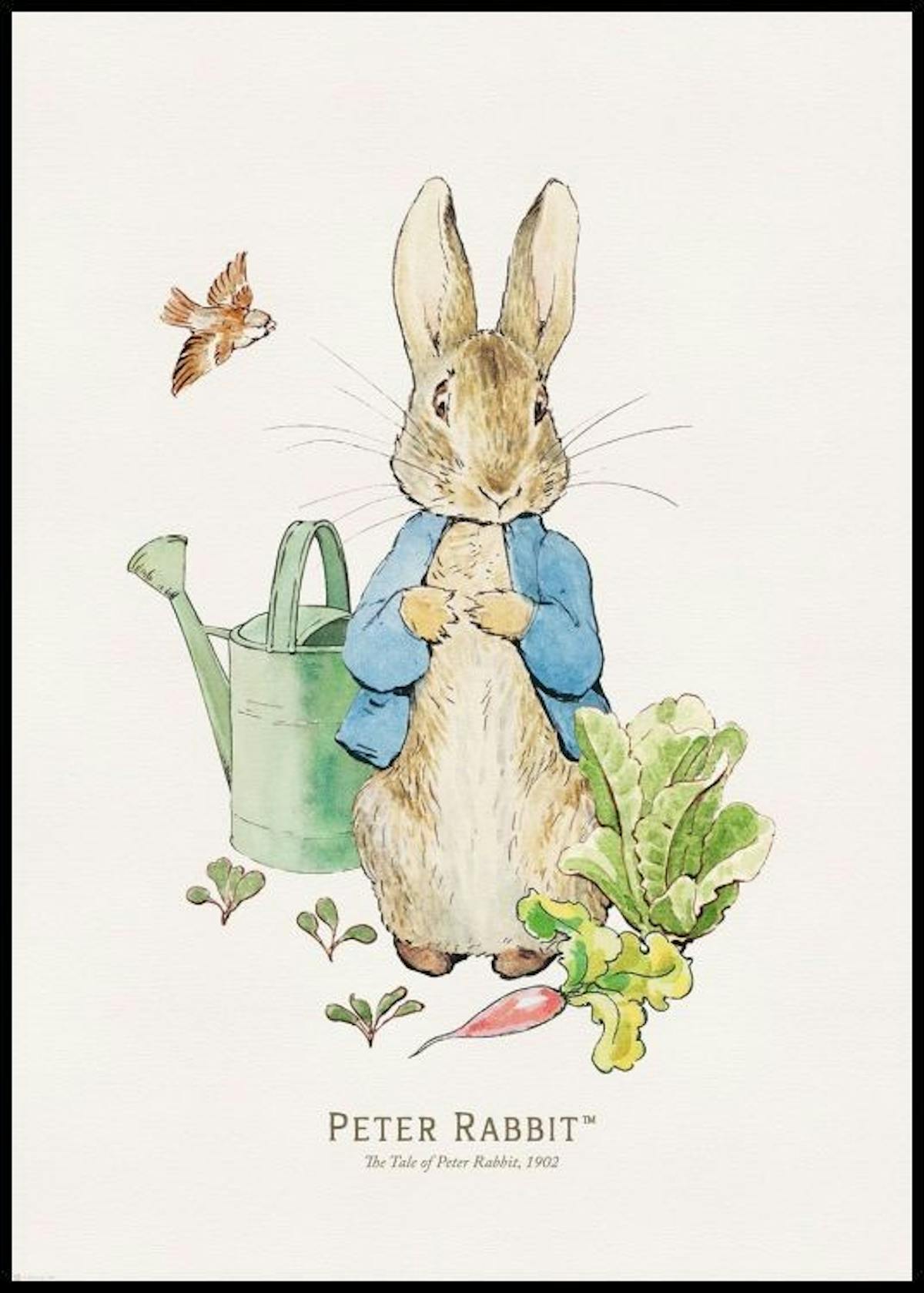 Peter Rabbit Characters Poster