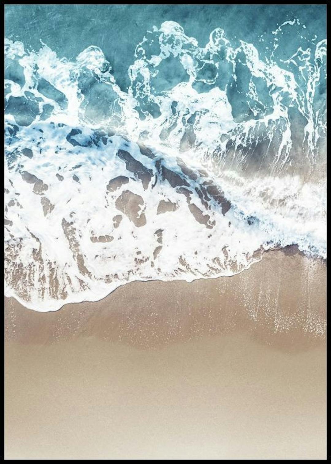 Blue Seashell Poster | Blue Seashell Print Intricate Black and White ...