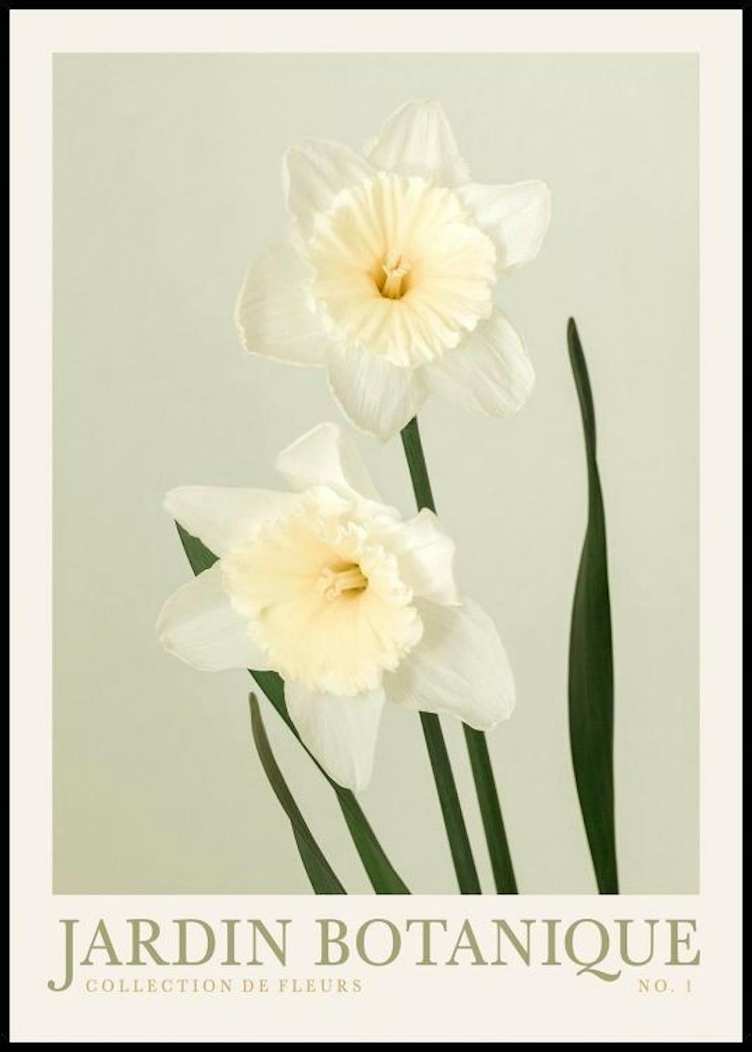 Poster Store - Décoration murale - Posters et Cadres