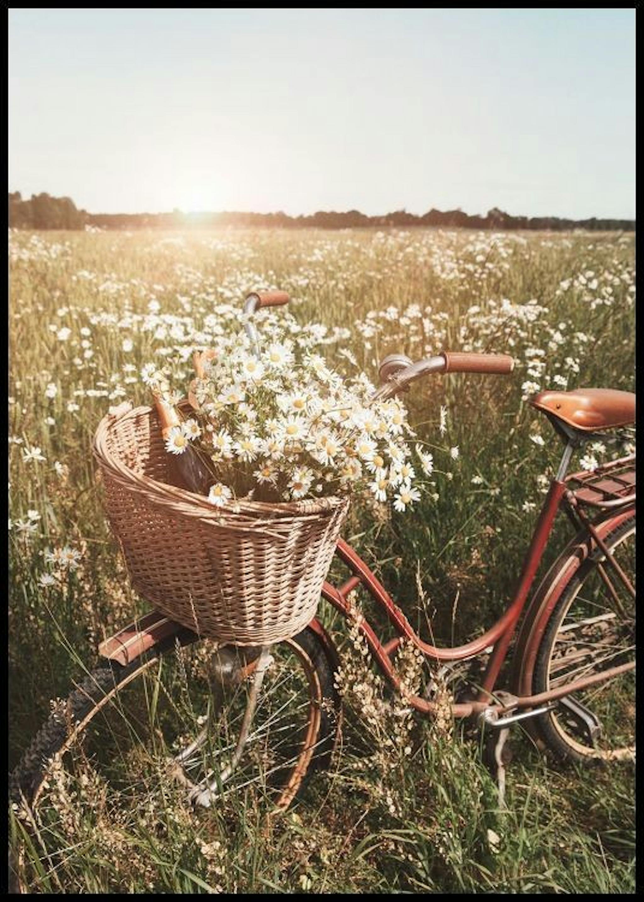 Poster Store - Décoration murale - Posters et Cadres